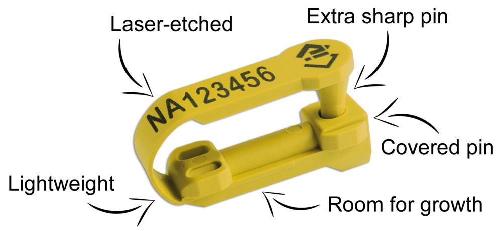 Shearwell Australia. Sheep Tags